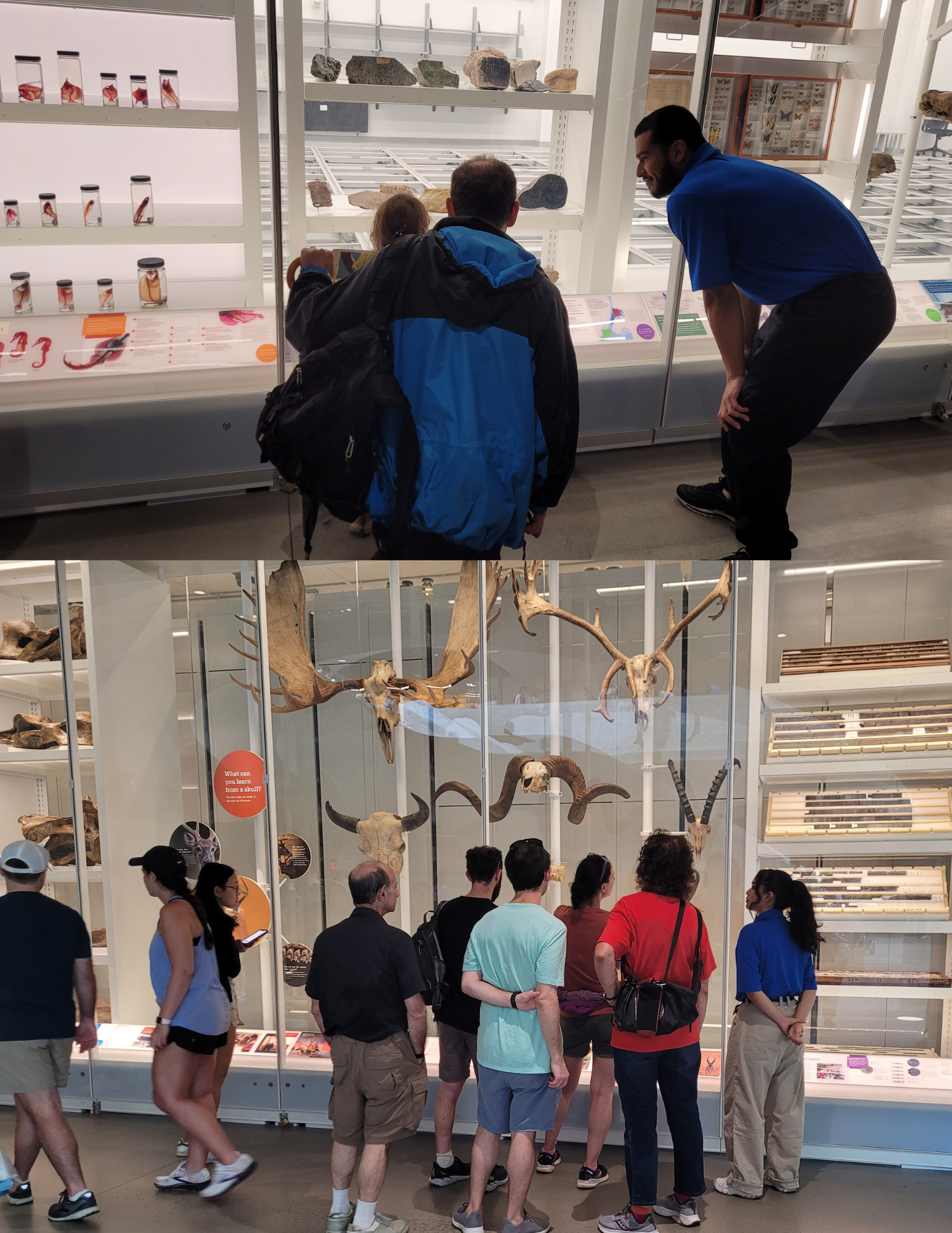 "What do you notice?" - Museum Education Roundtable